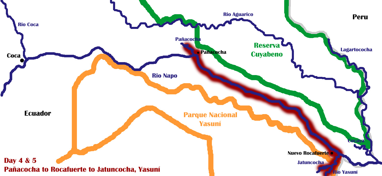 NWBirding Ecuador 07 - Page 2 of 5